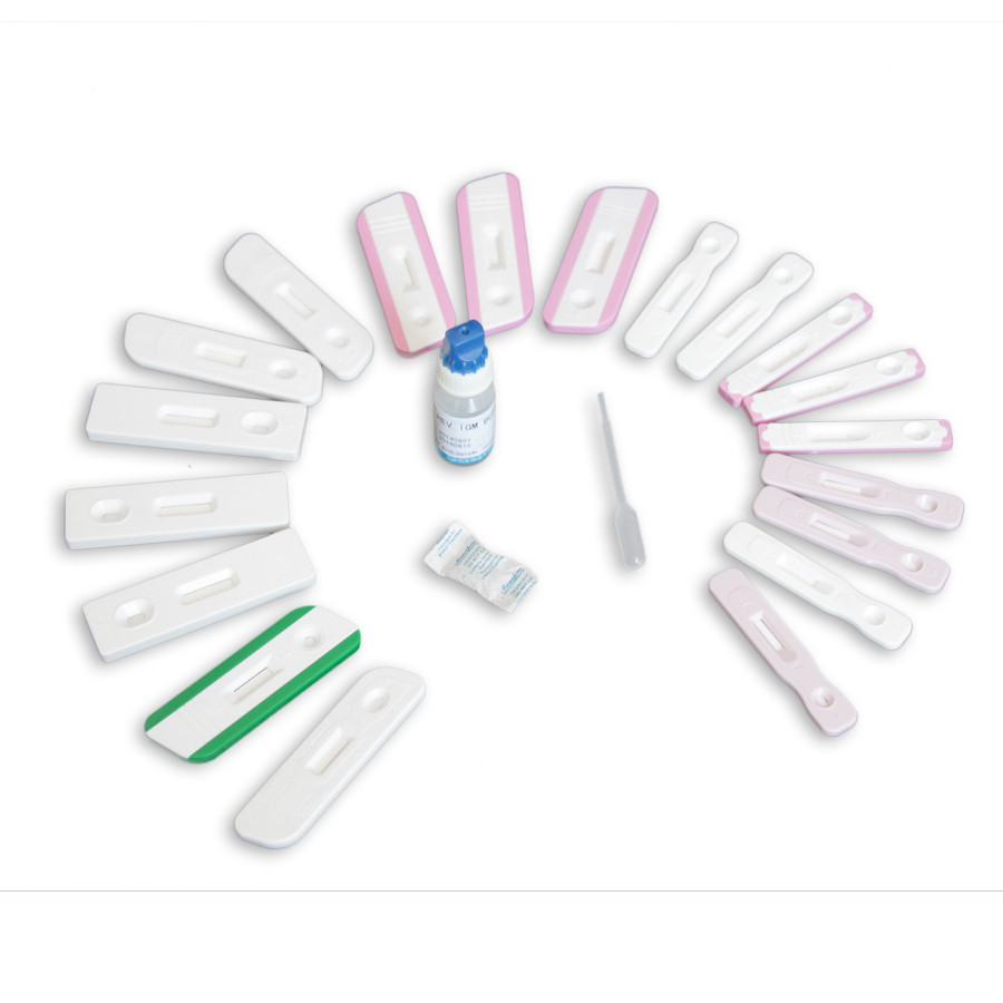 4.0mm Mycoplasma Pneumonia MP IgM Rapid Test كاسيت